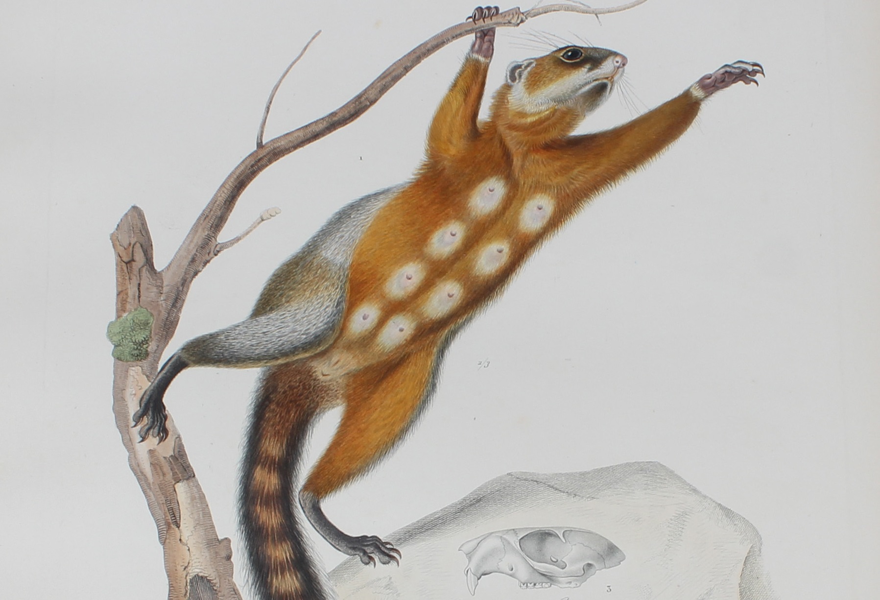 Herman H.J. Lynge & Søn A/S